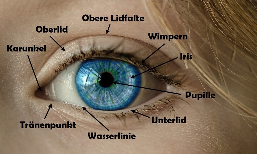 Auge zeichnen - Auge malen Schritt für Schritt erklärt - Schnaud Lerne ...